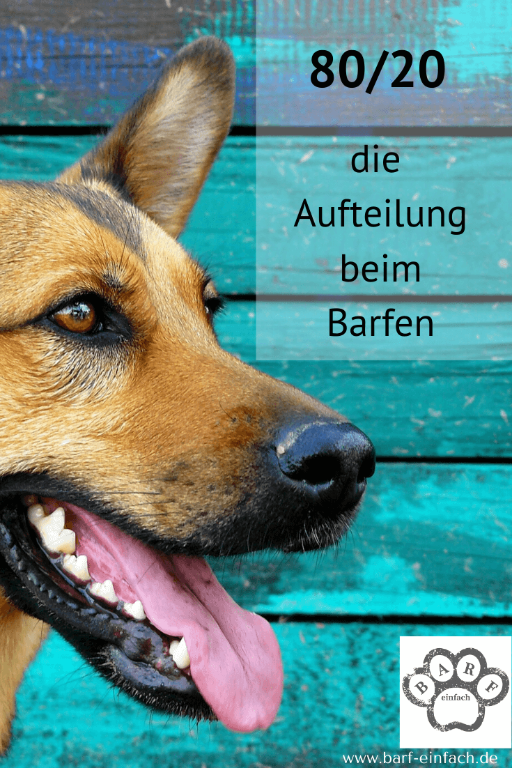 Futterplan erstellen Teil 1: Die Aufteilung - Barf Einfach