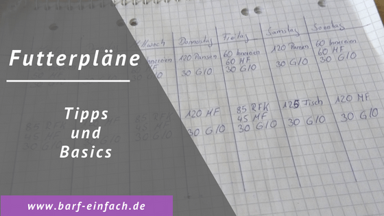 Futterpläne beim Barfen - deshalb solltest du sie nutzen - Barf Einfach